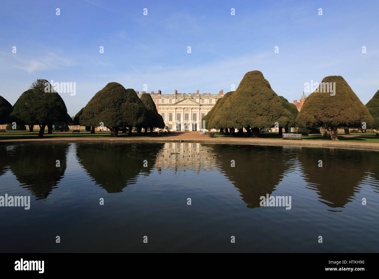 Conical yew trees hi-res stock photography and images - Alamy