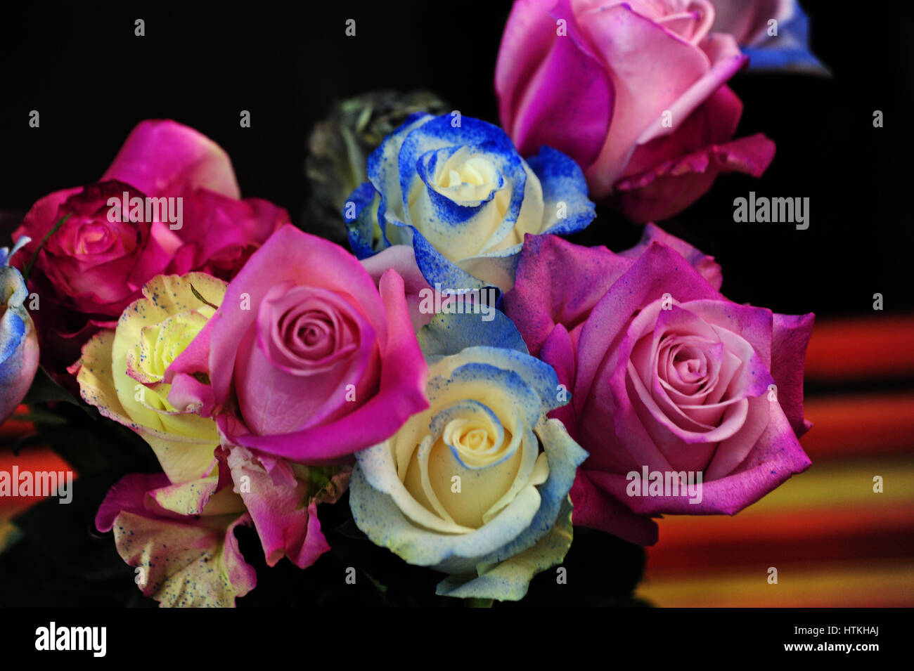 Year round roses hi-res stock photography and images - Alamy