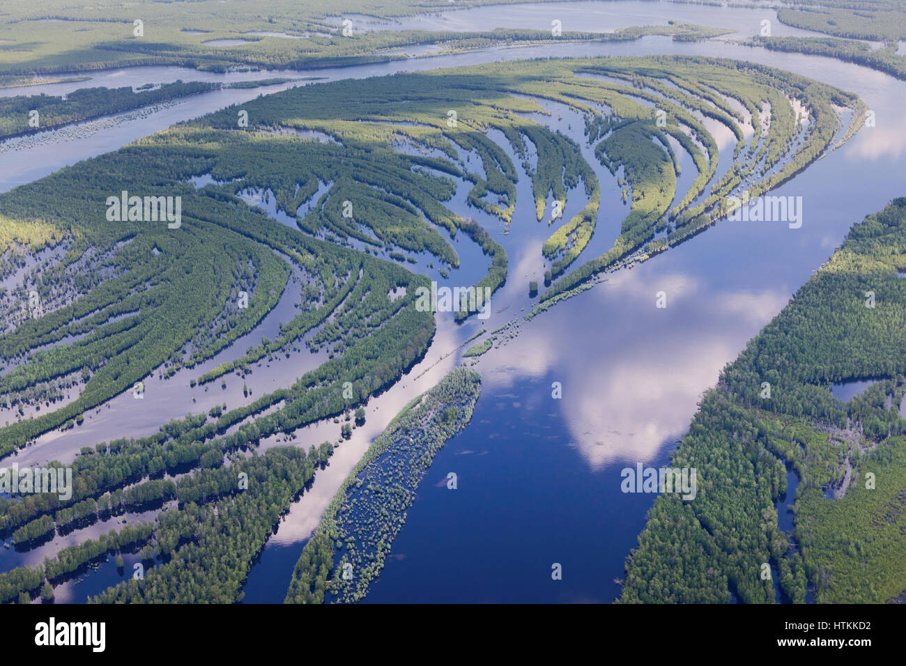 Forest river in spring, top view Stock Photo - Alamy