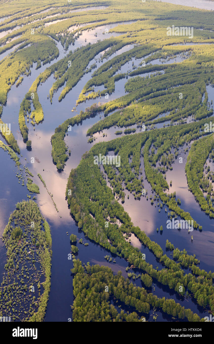 Forest river in spring, top view Stock Photo - Alamy