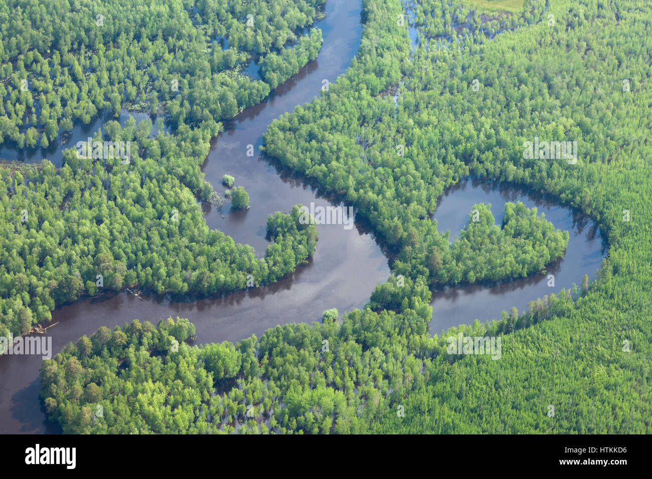 Forest river in spring, top view Stock Photo - Alamy