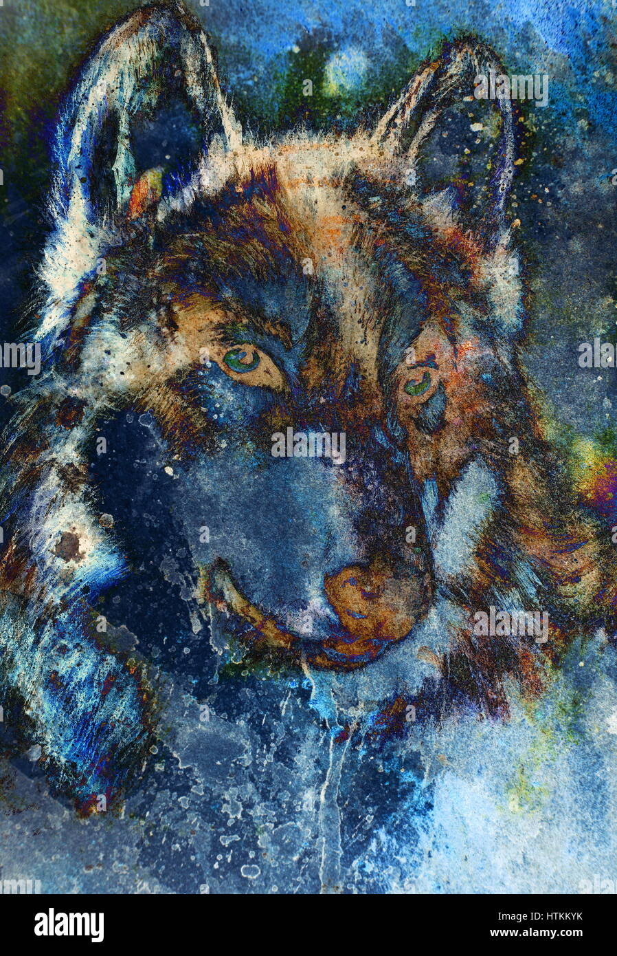 timber wolf head on abstract structured background, multicolor graphic ...
