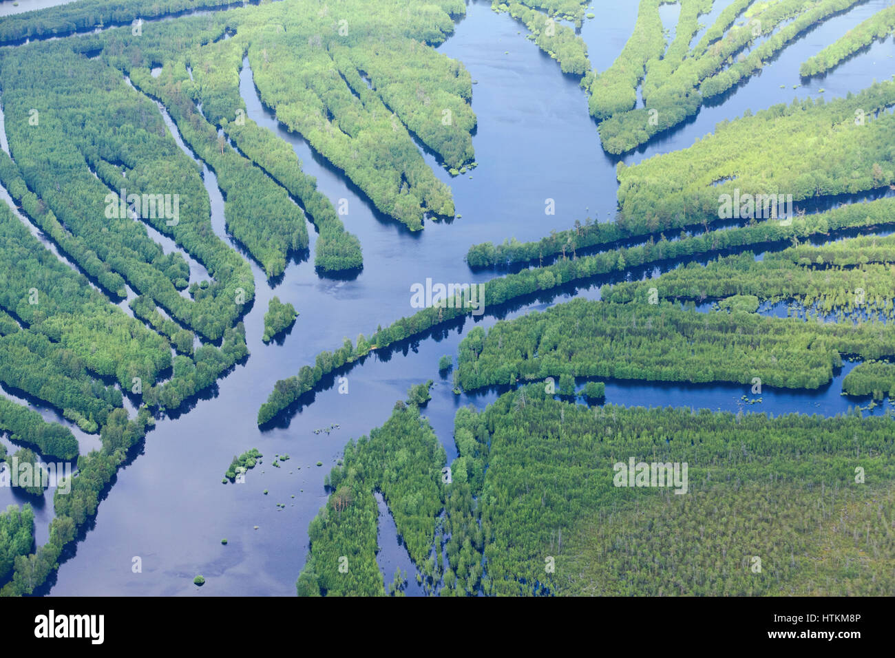 Forest river in spring, top view Stock Photo - Alamy
