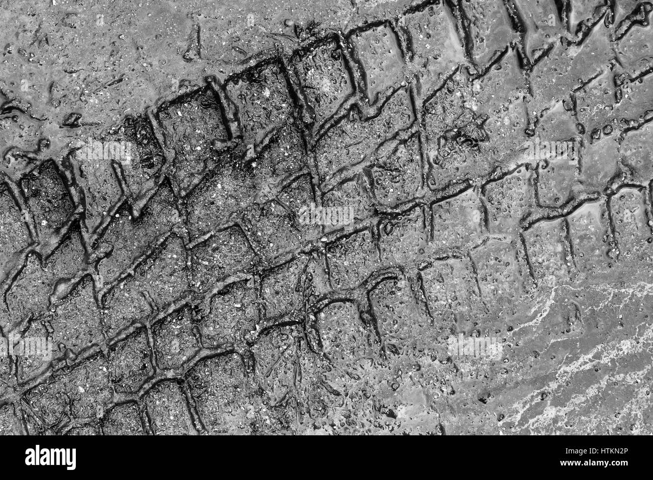 Muddy tyre tracks hi-res stock photography and images - Alamy