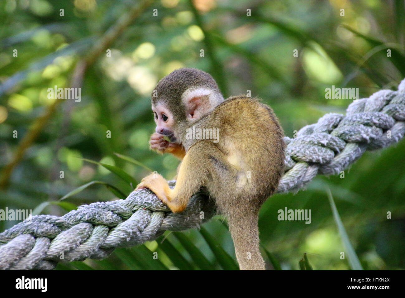 The infants are just weeks old, with the eldest born just before ...