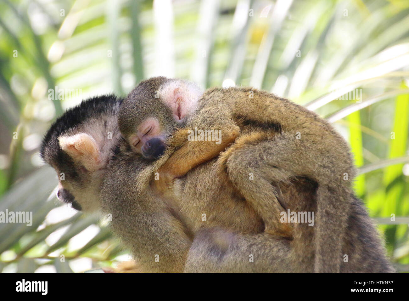 The infants are just weeks old, with the eldest born just before ...