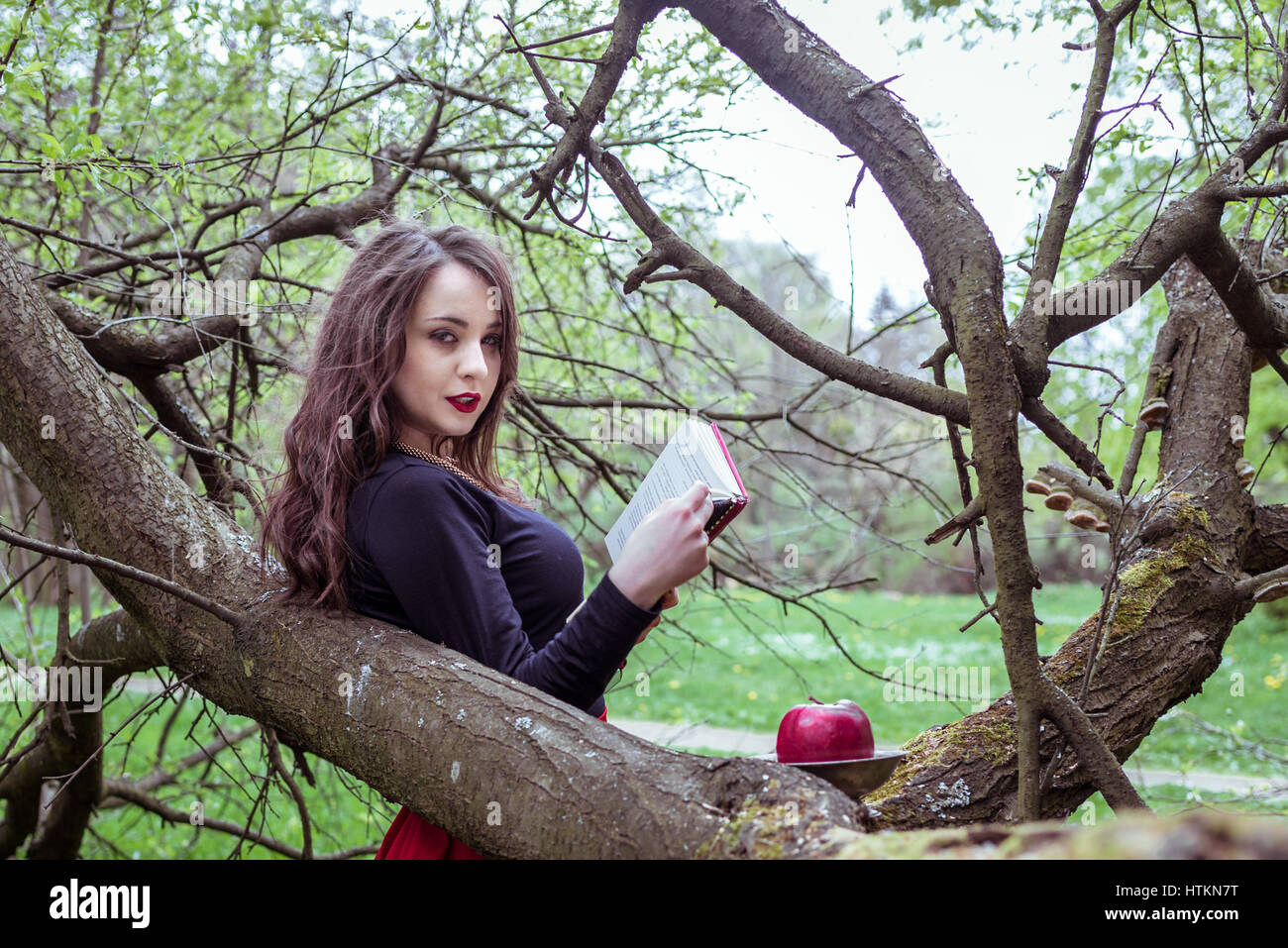 woman reading a book Stock Photo - Alamy