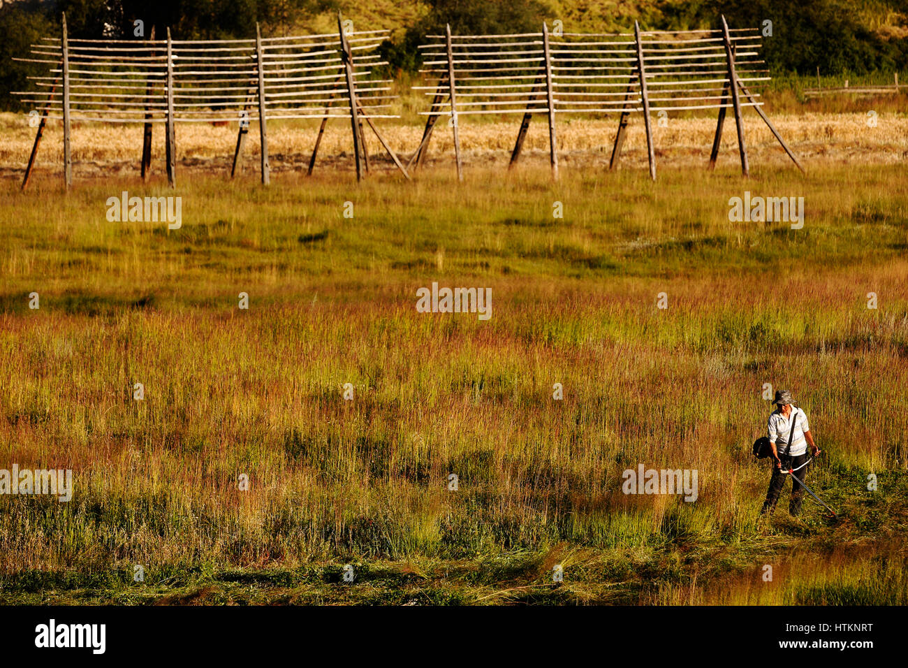 Wooden farm structures hi-res stock photography and images - Alamy