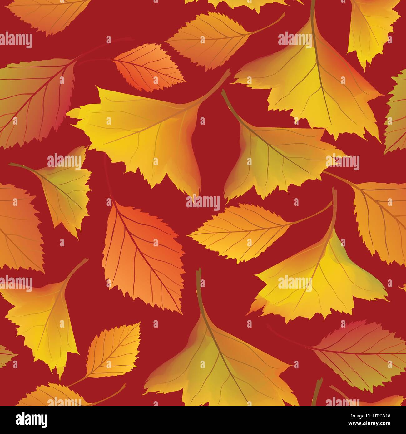 Japanese maple garden border Stock Vector Images - Alamy
