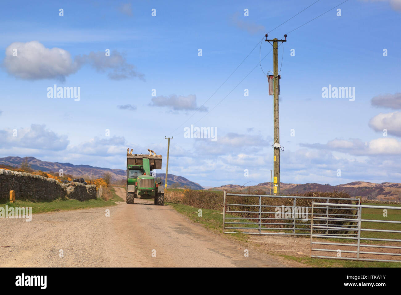 Dead cow being transported away from field Model Release: No. Property ...
