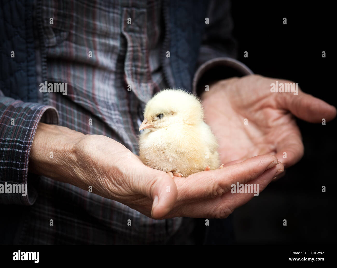Newborn baby incubator hand hi-res stock photography and images - Alamy