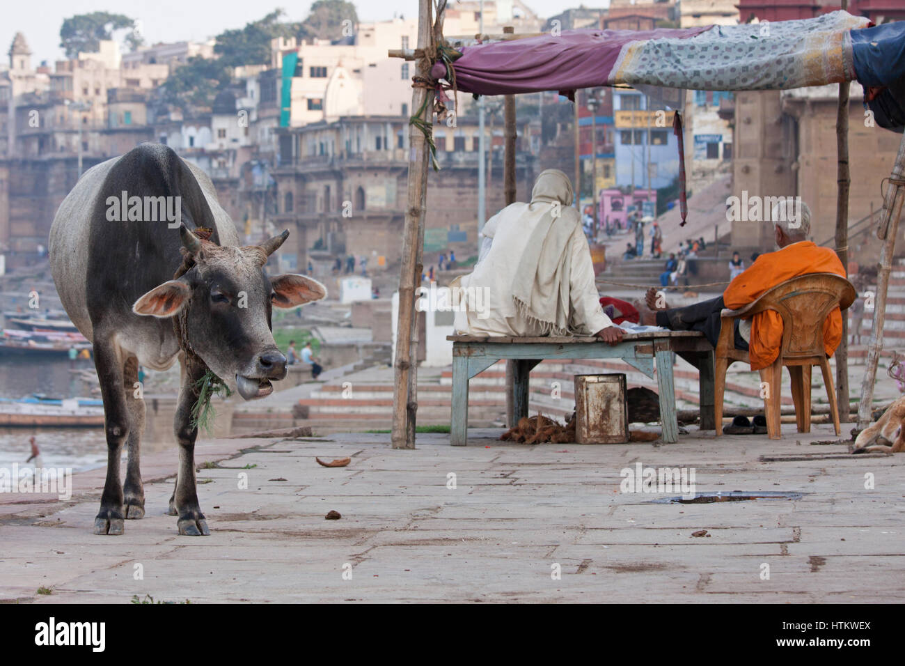 Embankment ganges river holy hi-res stock photography and images - Alamy