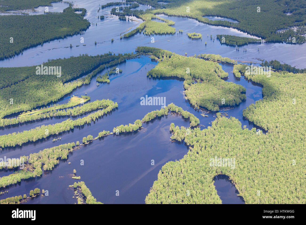 Taiga aerial hi-res stock photography and images - Alamy