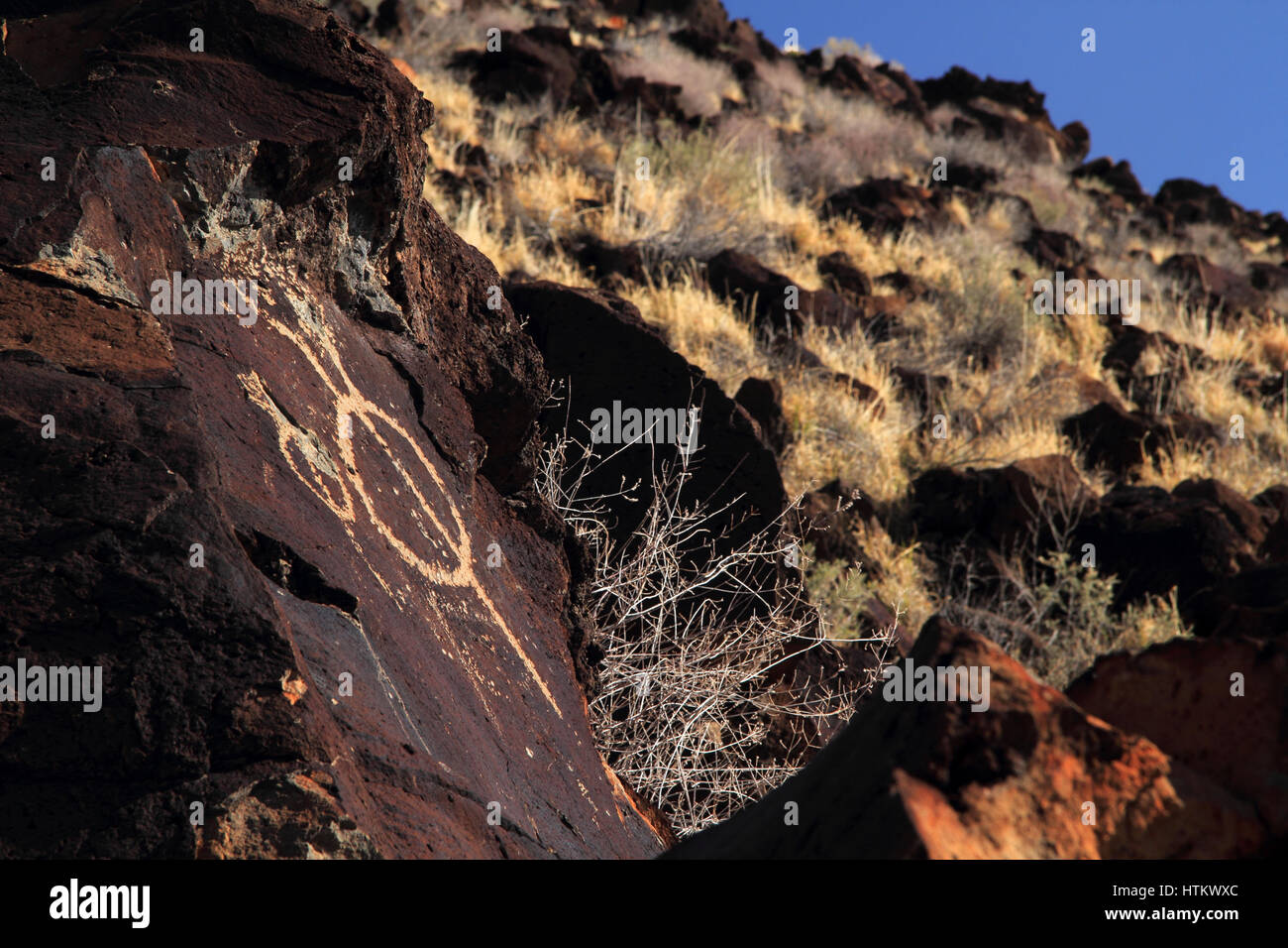 Ancient Native American Rock Art at Petroglyph National Monument in ...