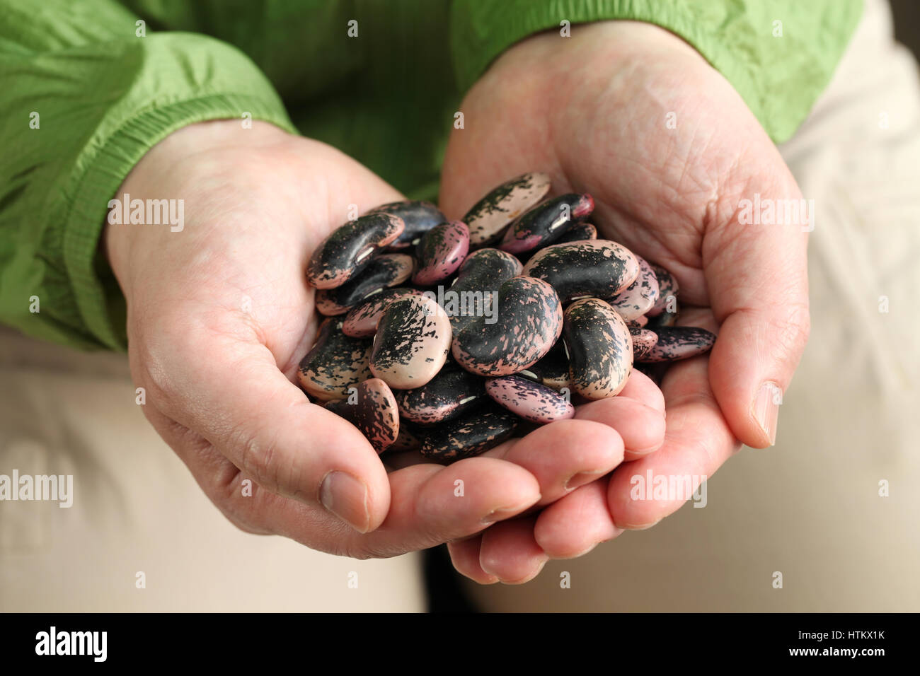 Runner Beans Hands High Resolution Stock Photography and Images - Alamy