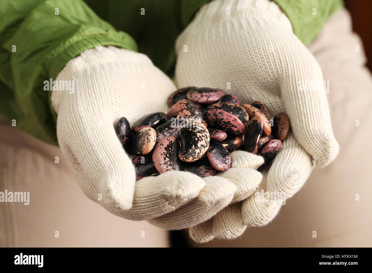Runner Beans Hands High Resolution Stock Photography and Images - Alamy