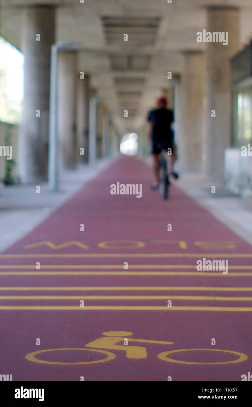 Bike lane that connects almost all regions Singapore. Here they call ...