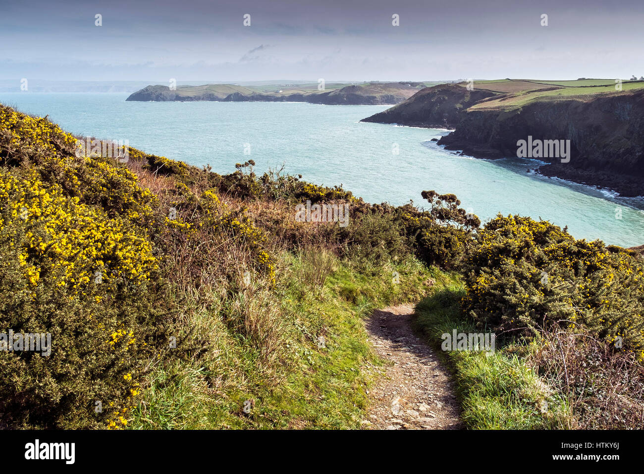 South West Coastal Path Pentire Headland Cornwall Stock Photo - Alamy