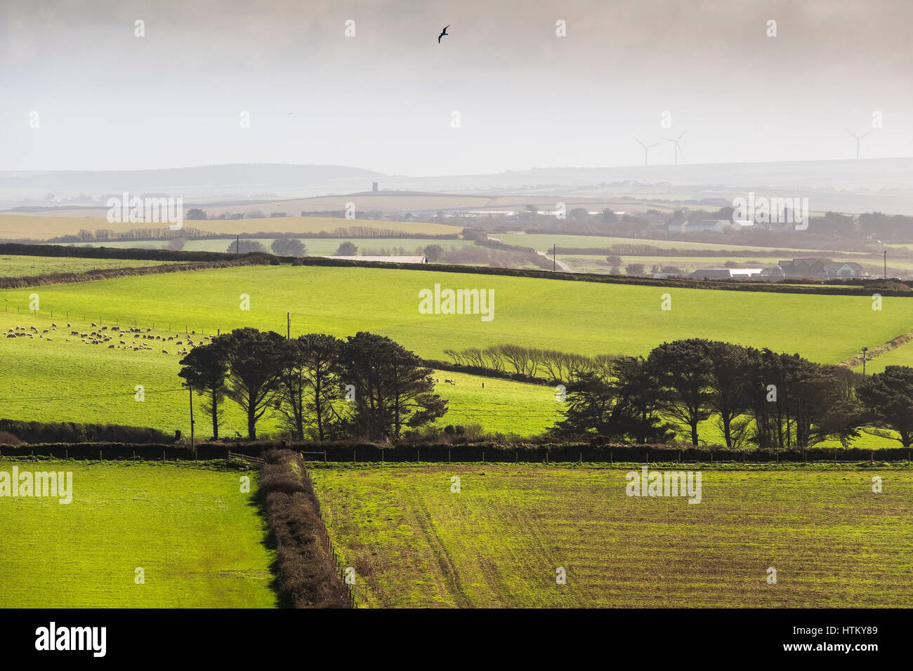 Agriculture agricultural land hi-res stock photography and images - Alamy
