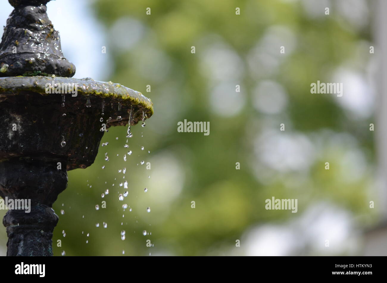 Overflowing Water Fountain