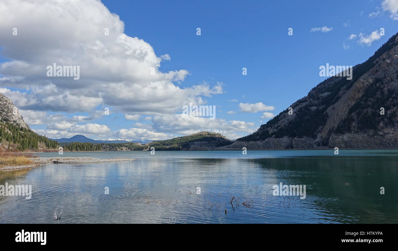 Majestic crows hi-res stock photography and images - Alamy