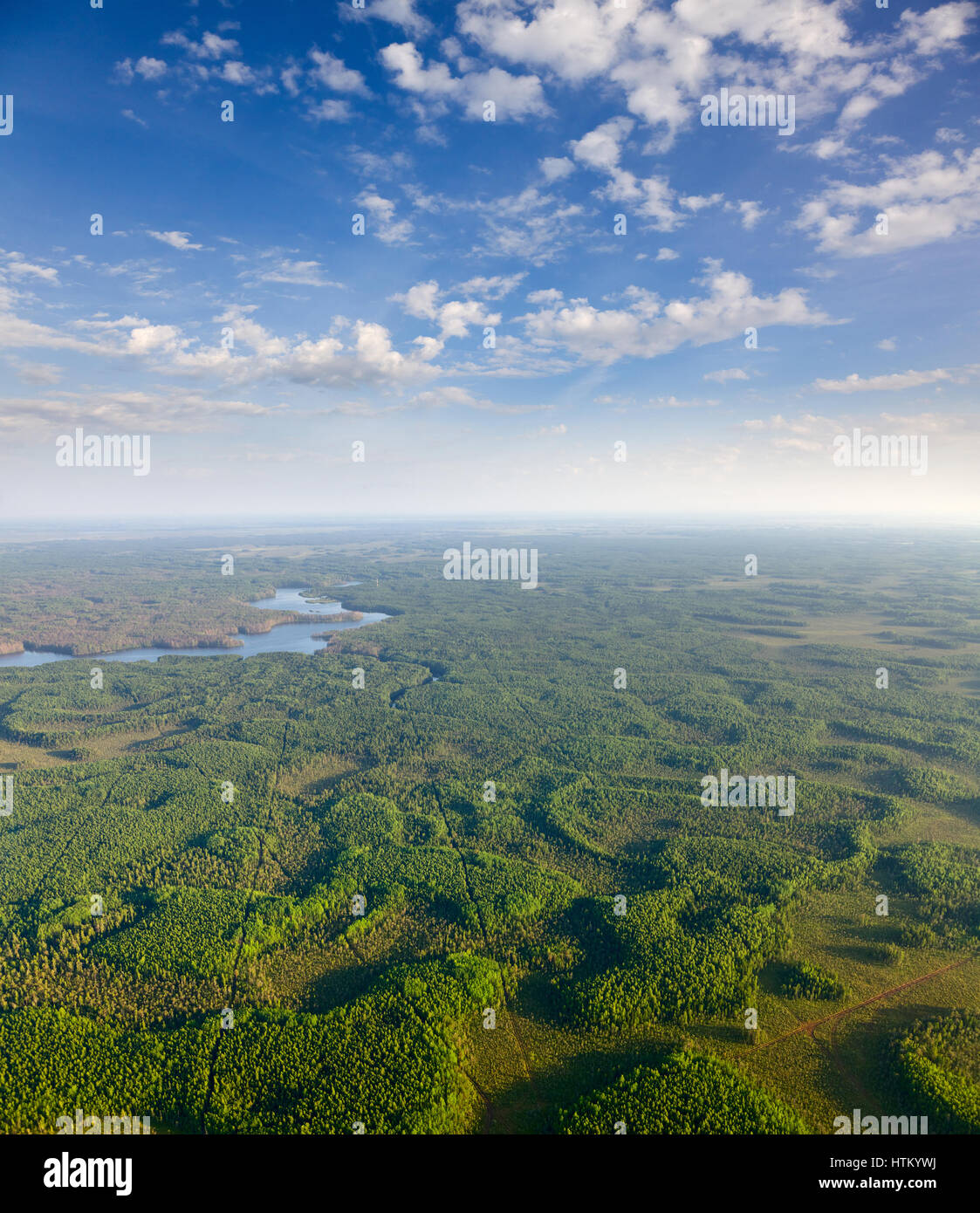 Forest plain, top view Stock Photo - Alamy