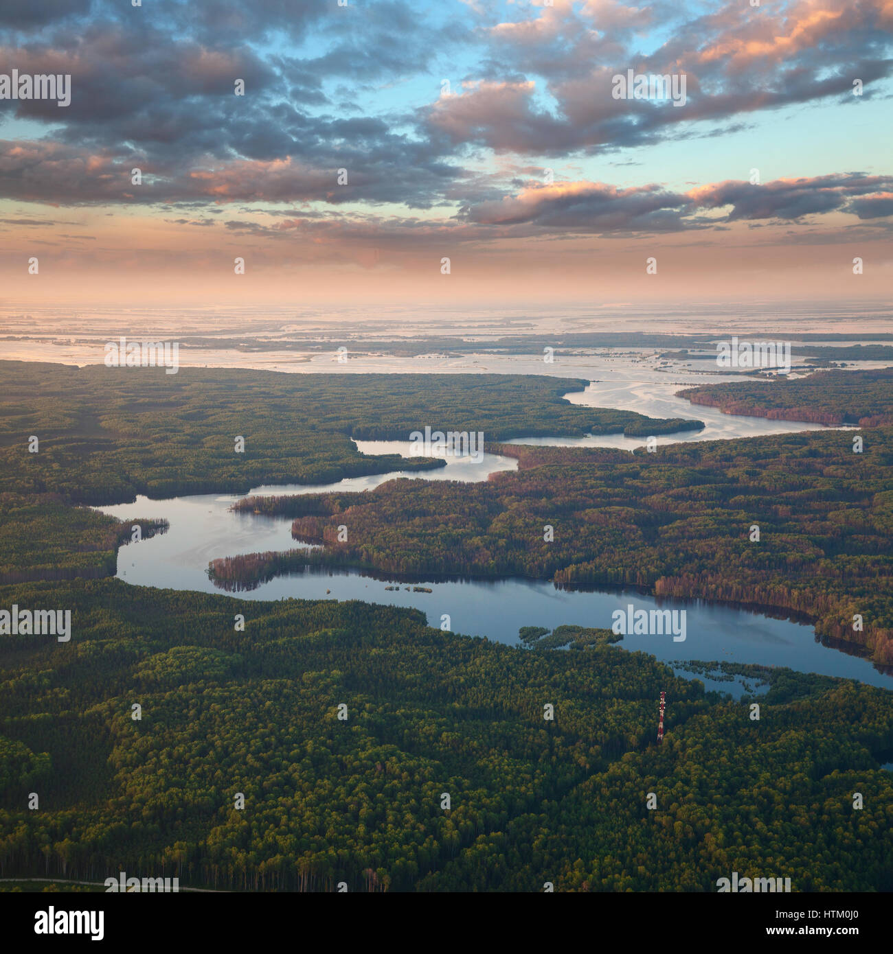 Telecommunications tower on a forest, top view Stock Photo - Alamy