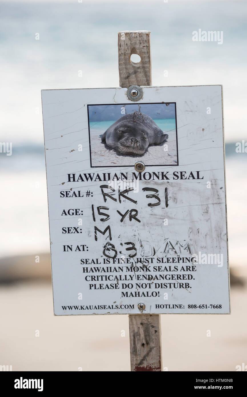 Sign indicating presence of Hawaiian monk seal, Neomonachus ...