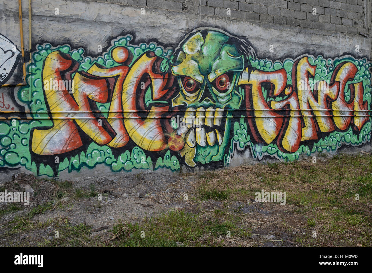 Skull graffiti, street art, Ushuaia, Argentina Stock Photo - Alamy