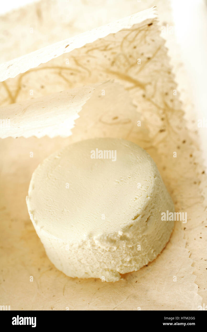 Delicious cheese in studio shot Stock Photo - Alamy