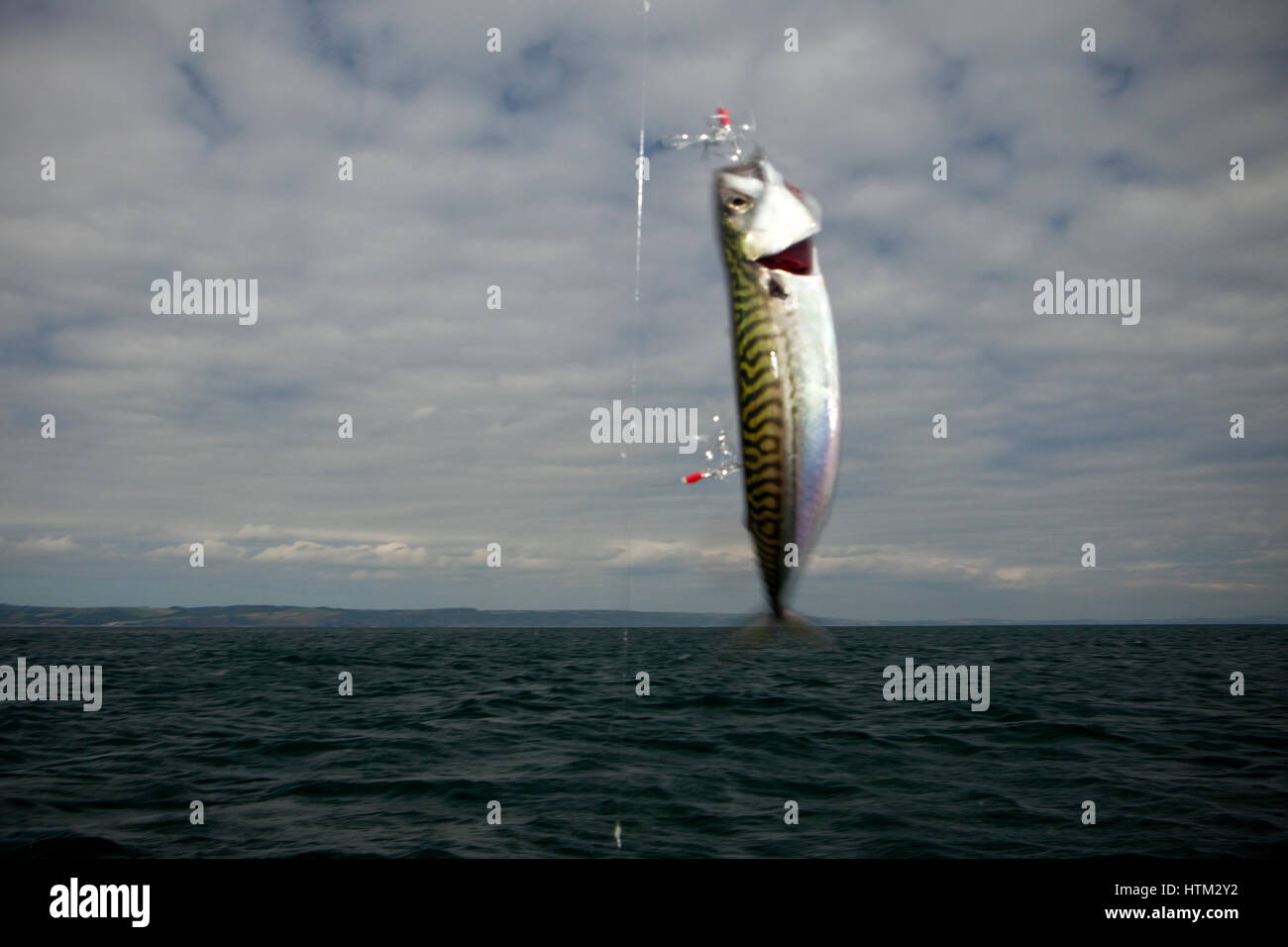 Mackerel Fishing off North Beach, Tenby Stock Photo - Alamy