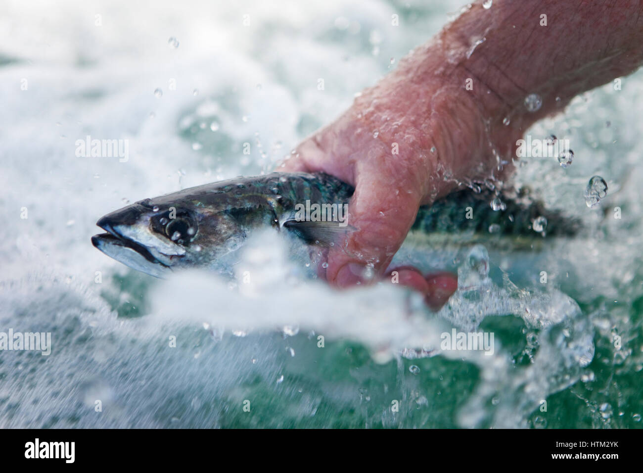 Mackerel Fishing off North Beach, Tenby, Wales, United Kingdom Stock ...