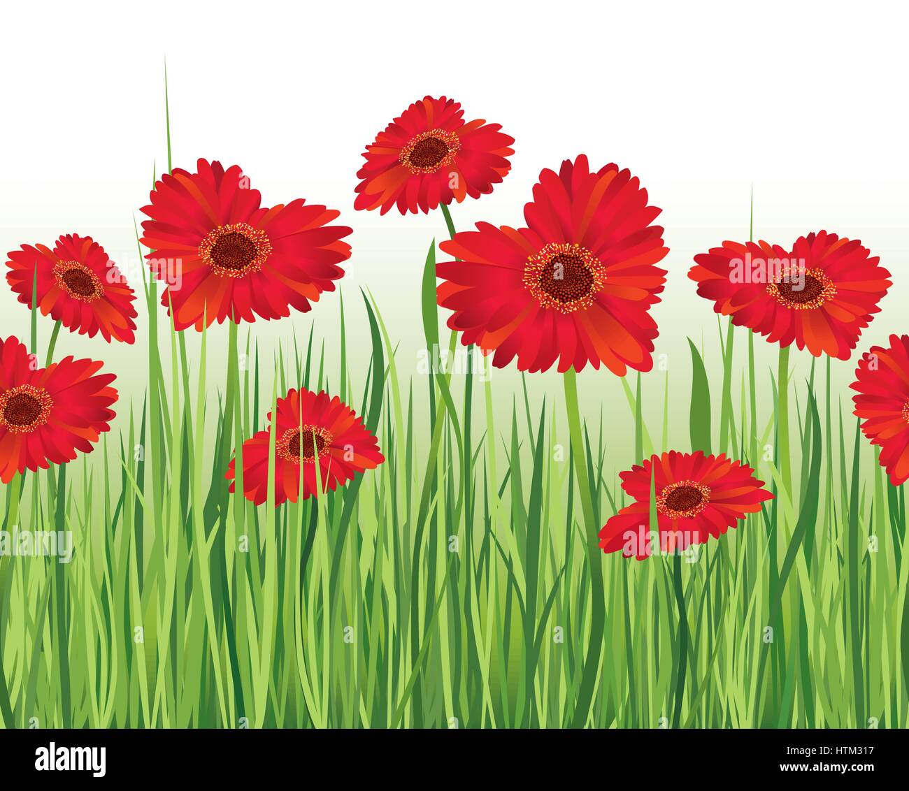 Floral seamless landscape. Flower background. Flourish garden border ...