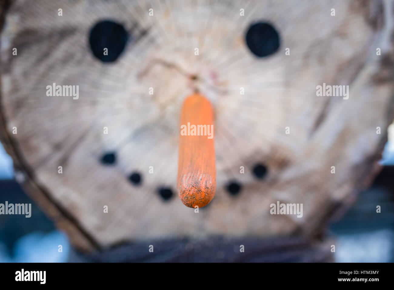 Close up of a nose of a snowman made of wooden log Stock Photo - Alamy