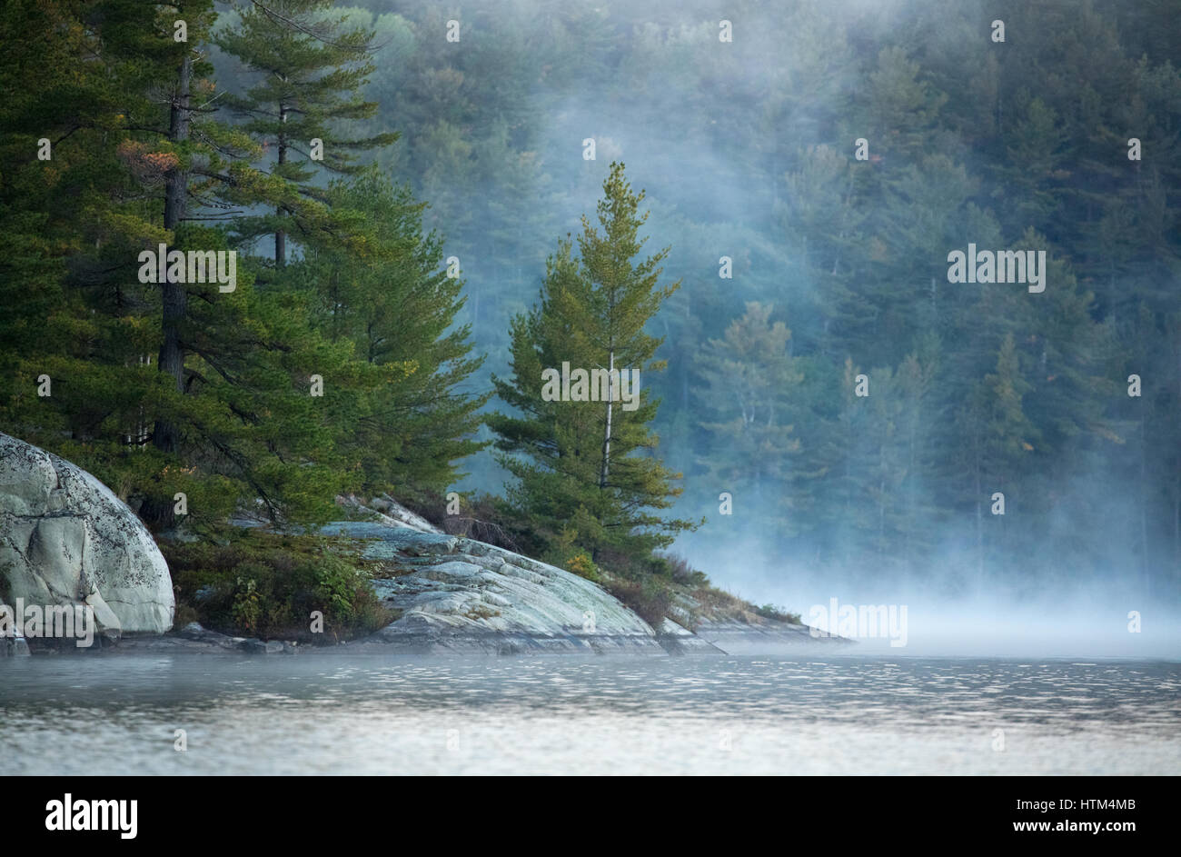 Charlton charlton charlton hi-res stock photography and images - Alamy