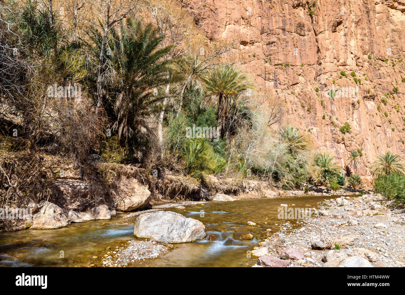 The Todra River in the Atlas Mountains. Morocco Stock Photo - Alamy