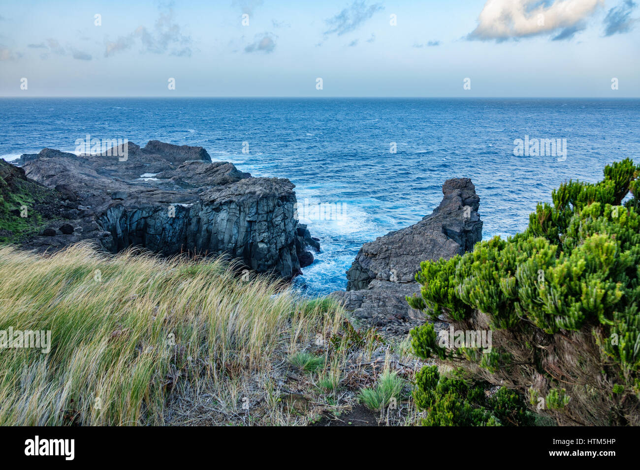 Cliffs in the atlantic ocean, Azores islands, Terceira Stock Photo - Alamy