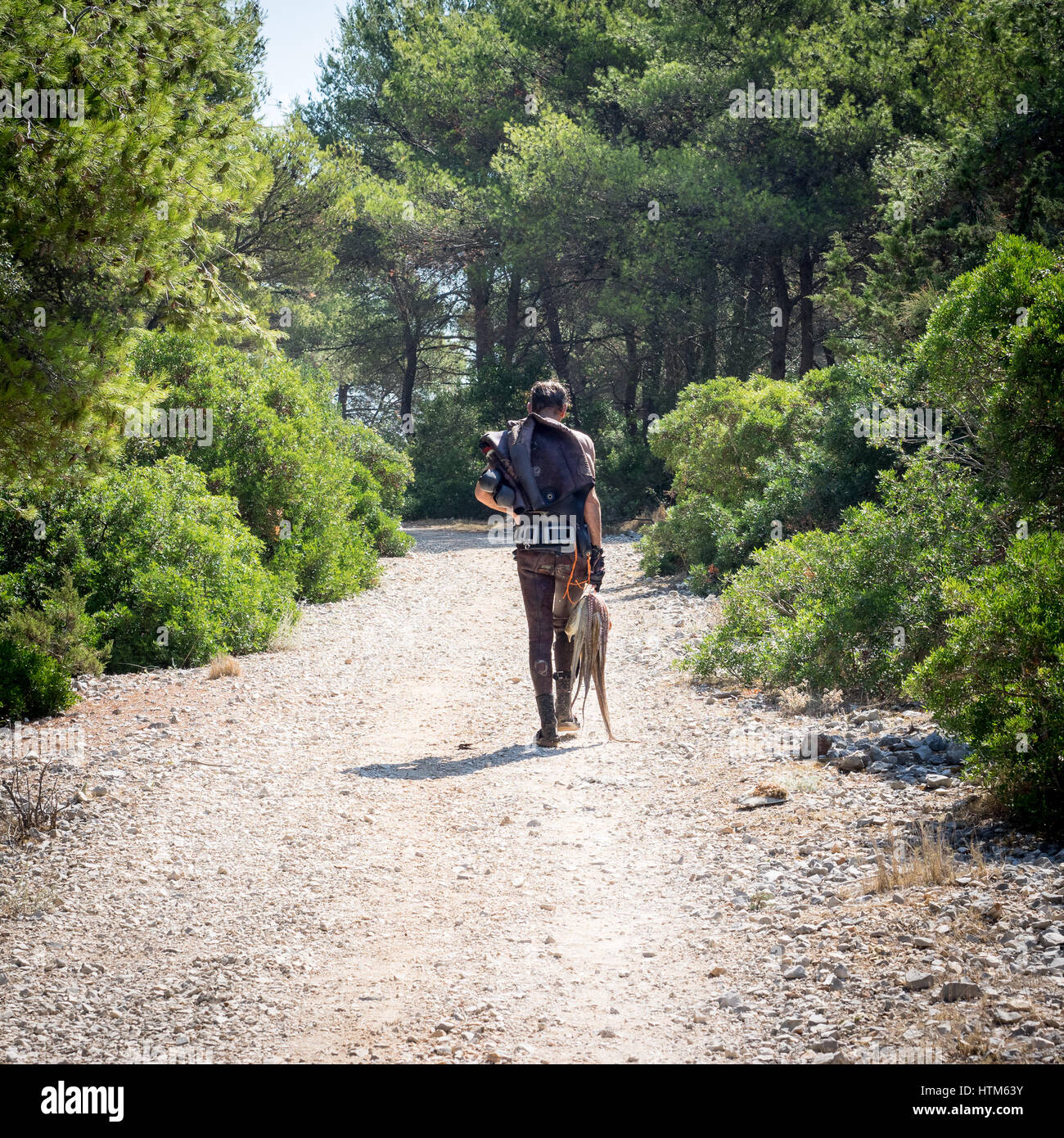 a an octopus squid fisherman walks on path through wood woods tree ...
