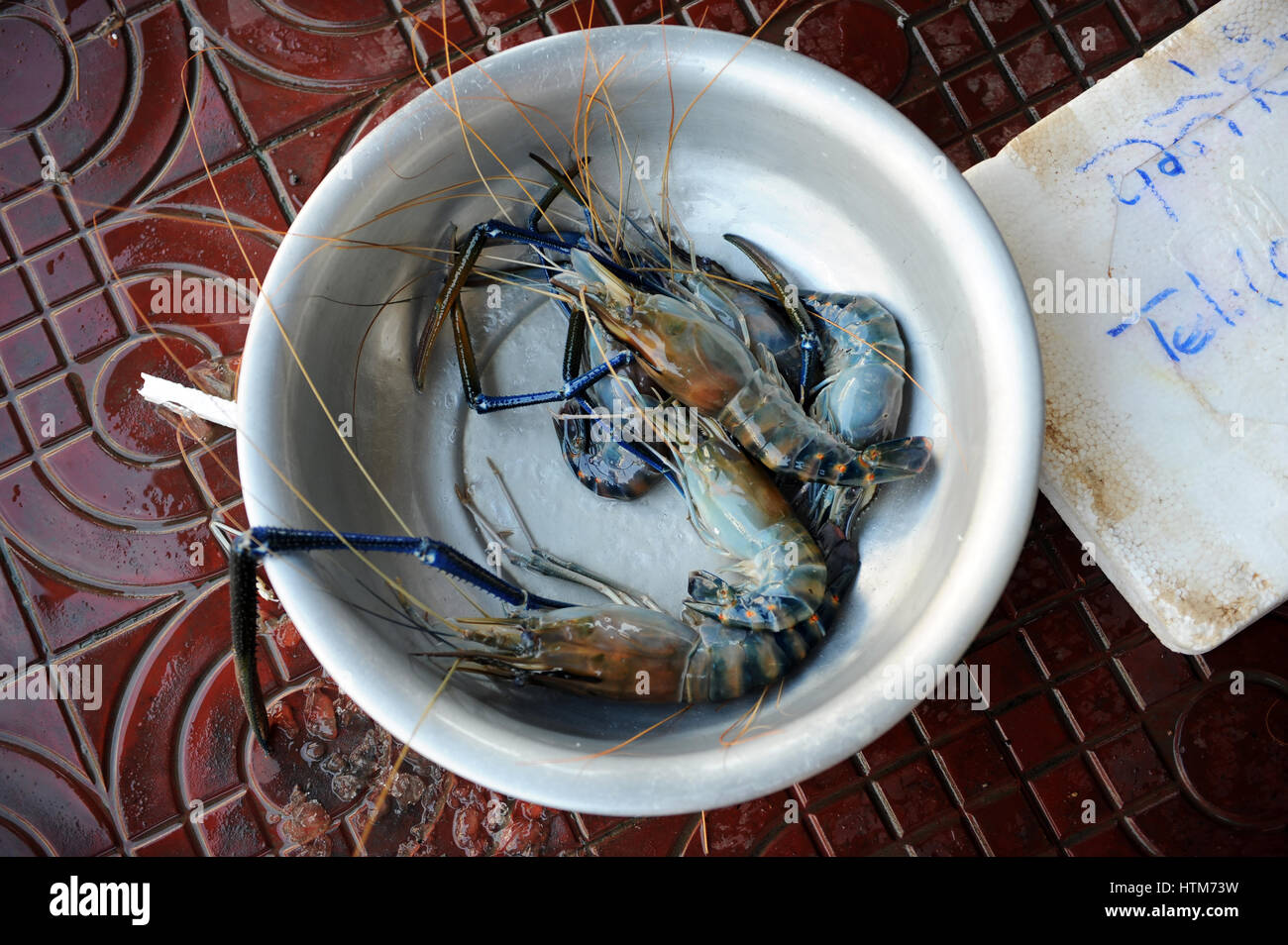 Giant Tiger Prawn In Water