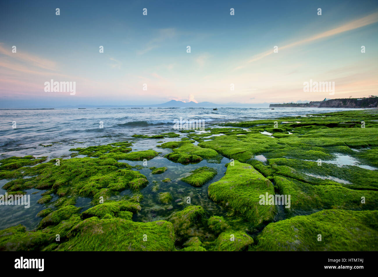Rocky shore covered with green seaweed with the beautiful ocean in the ...