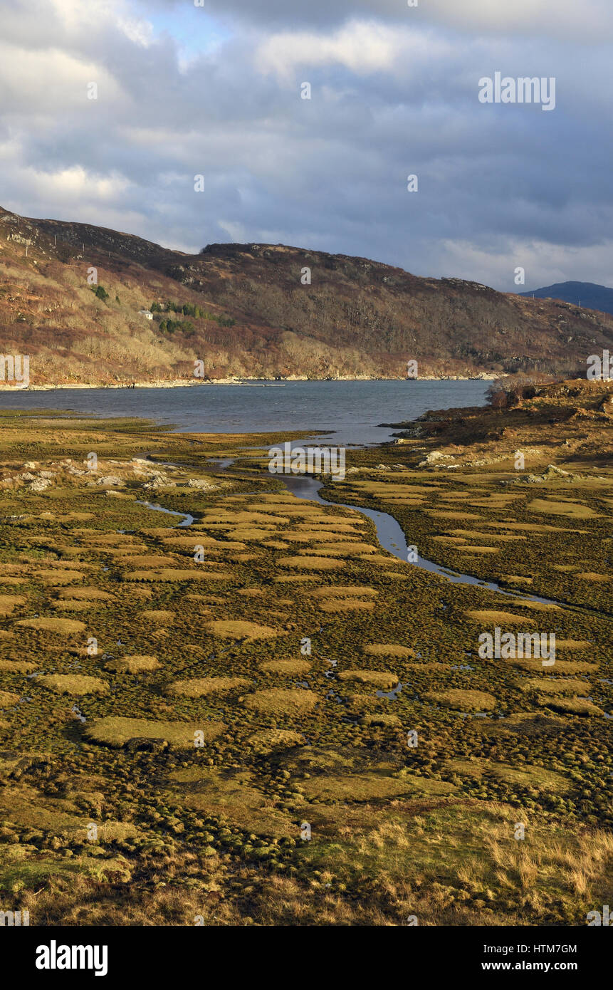 loch sunart;ardnamurchan peninsula;scotland Stock Photo - Alamy