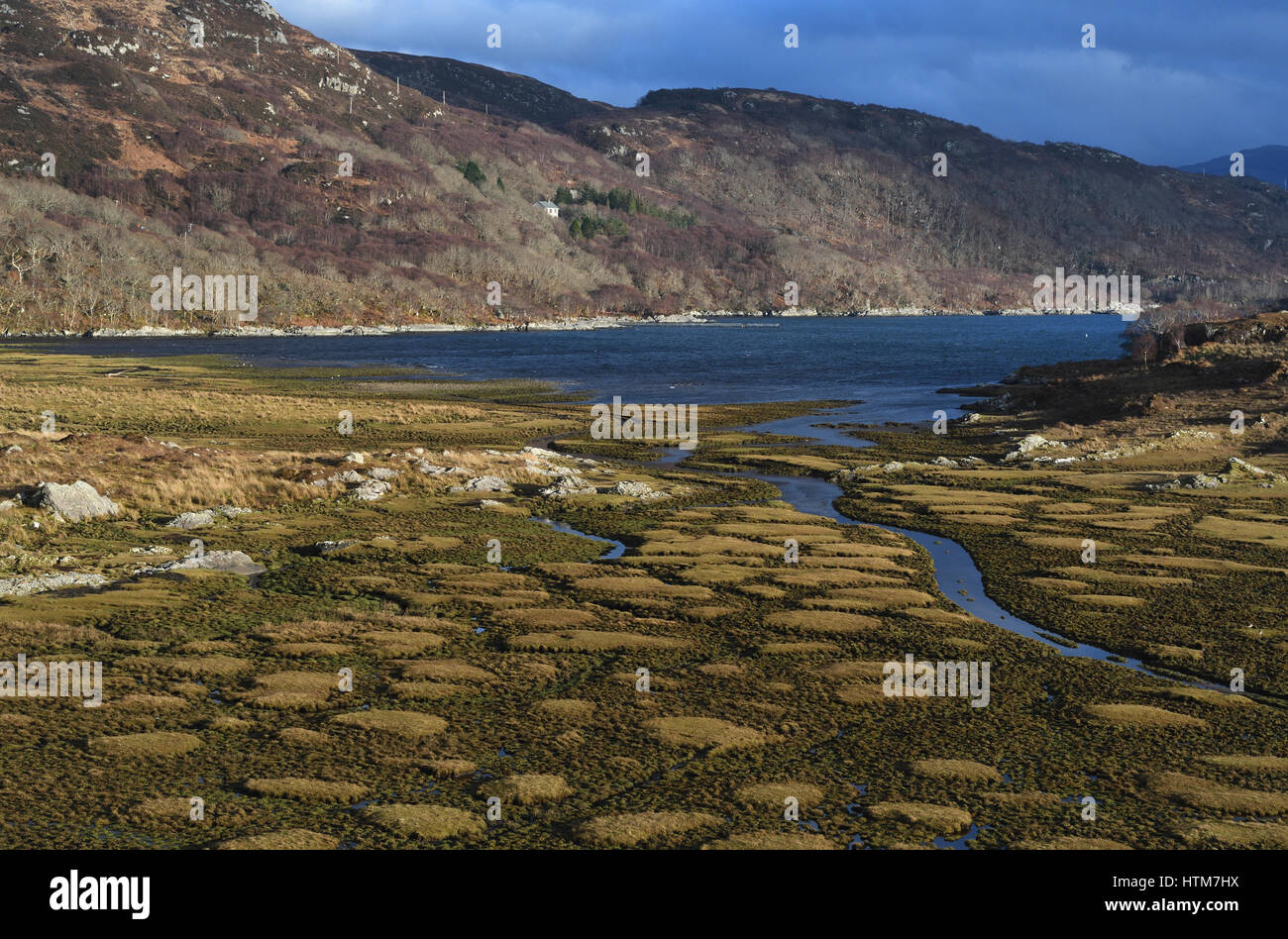 loch sunart;ardnamurchan peninsula;scotland Stock Photo - Alamy