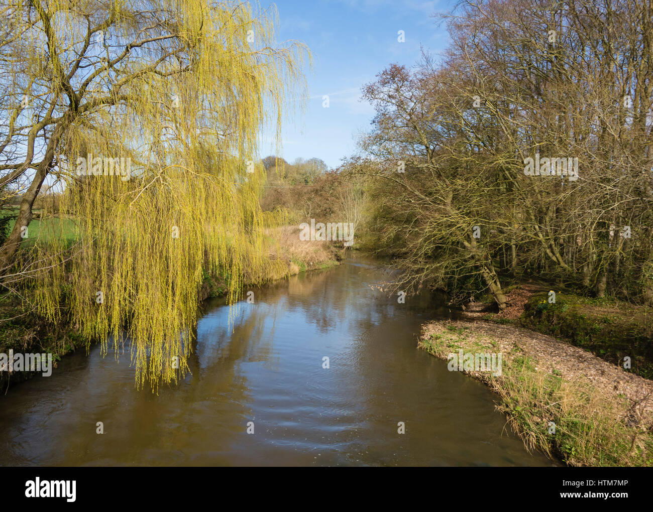 Weeping willow tree and water hi-res stock photography and images - Alamy