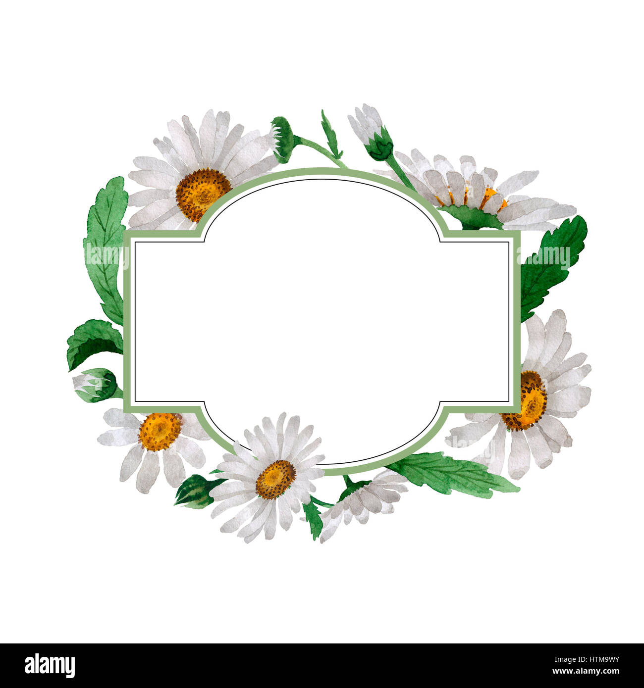 Wildflower chamomile flower frame in a watercolor style isolated Stock ...