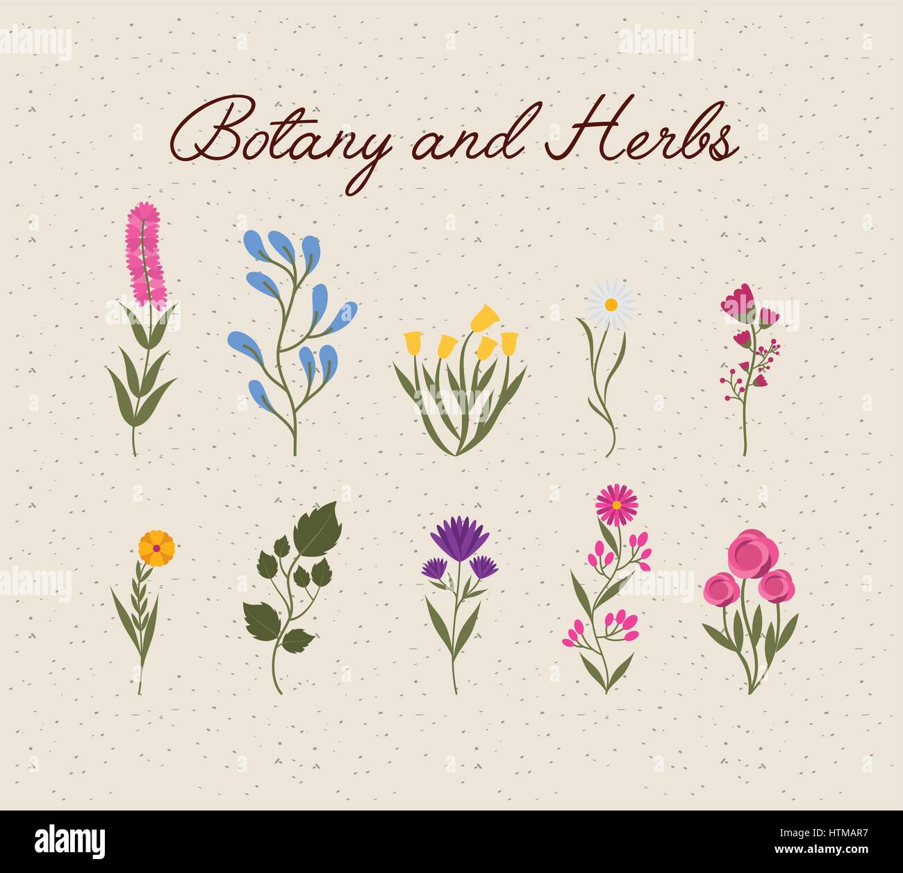 botany and herbs design Stock Vector Image & Art - Alamy
