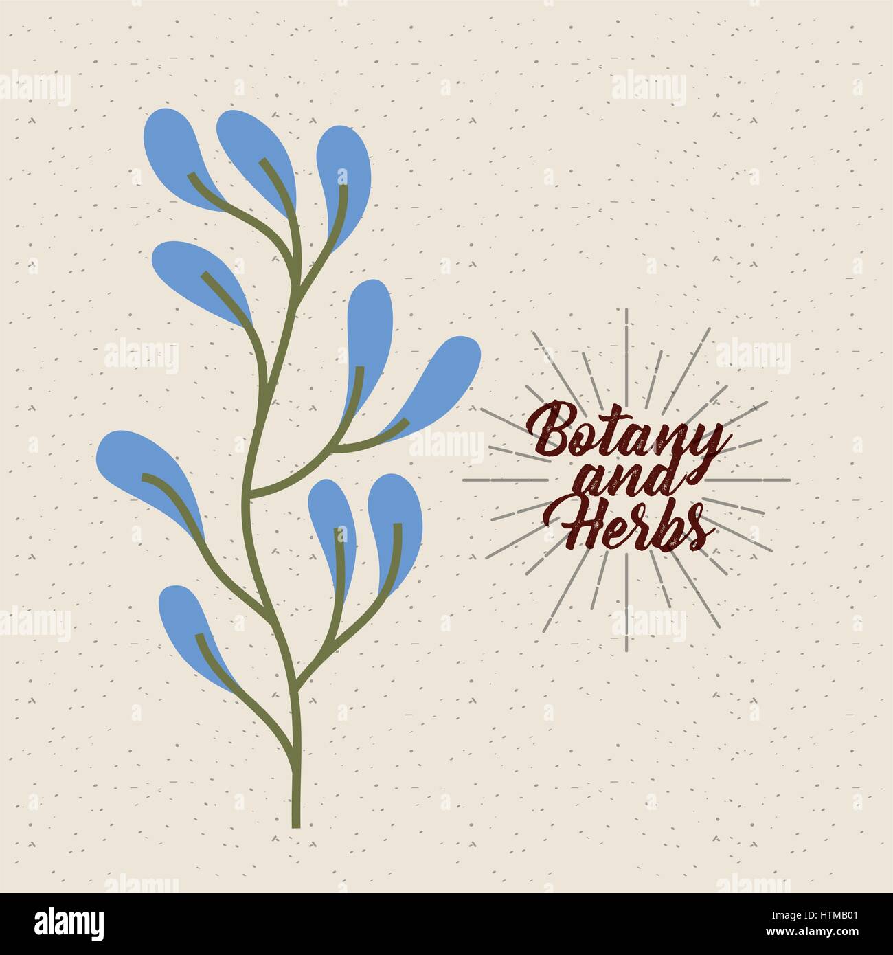 botany and herbs design Stock Vector Image & Art - Alamy