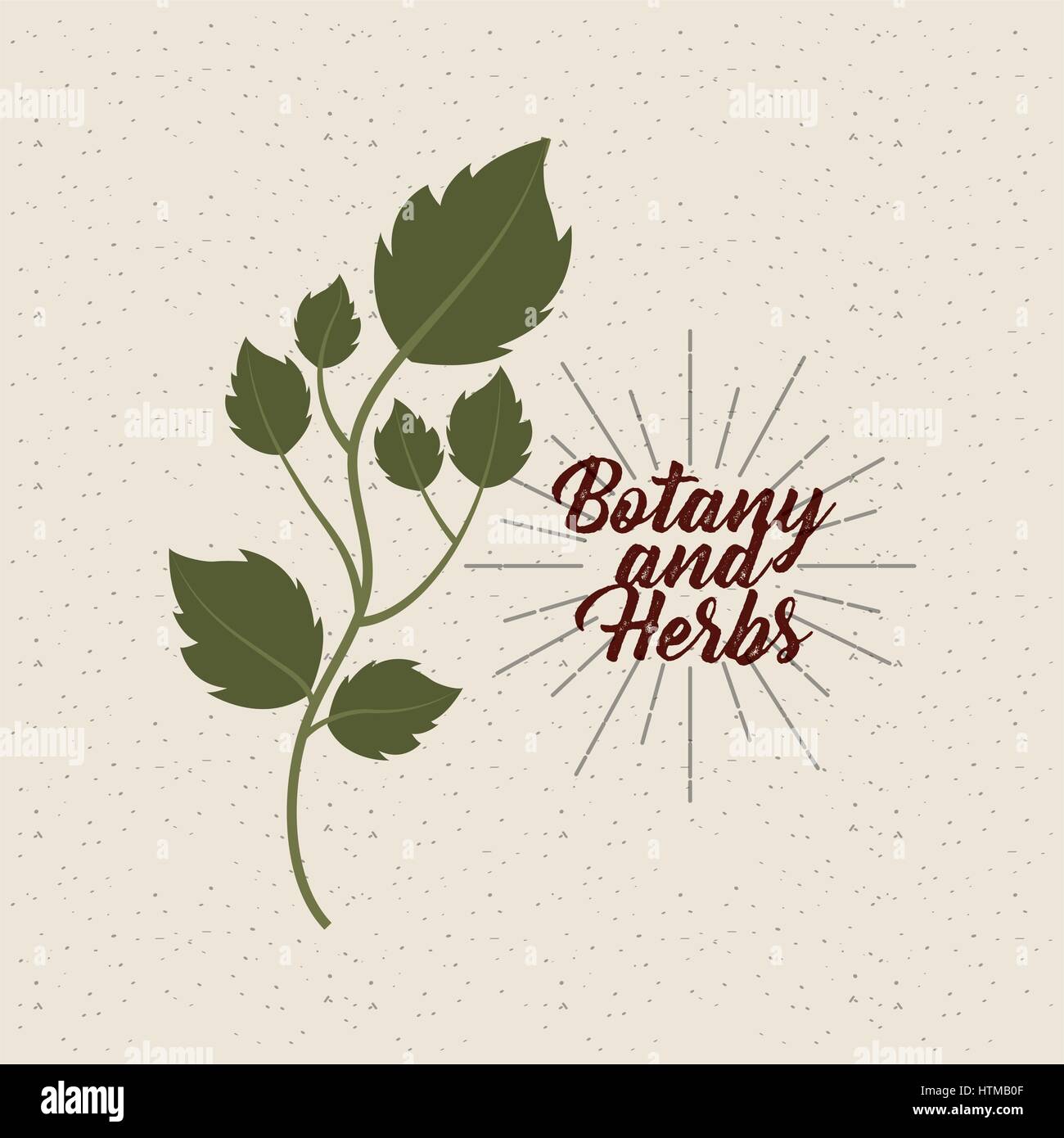 botany and herbs design Stock Vector Image & Art - Alamy