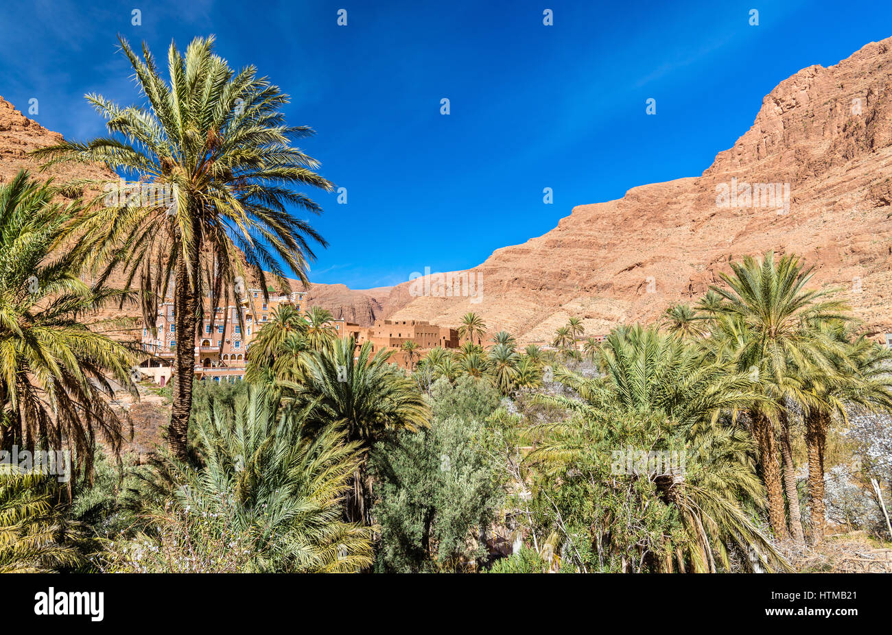 Oasis of the Todra River at Tinghir, Morocco Stock Photo - Alamy