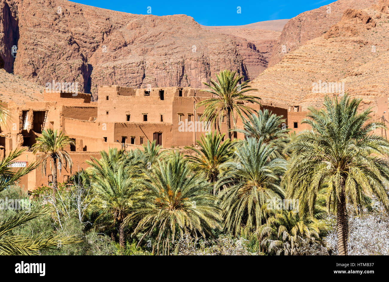 Oasis of the Todra River at Tinghir, Morocco Stock Photo - Alamy