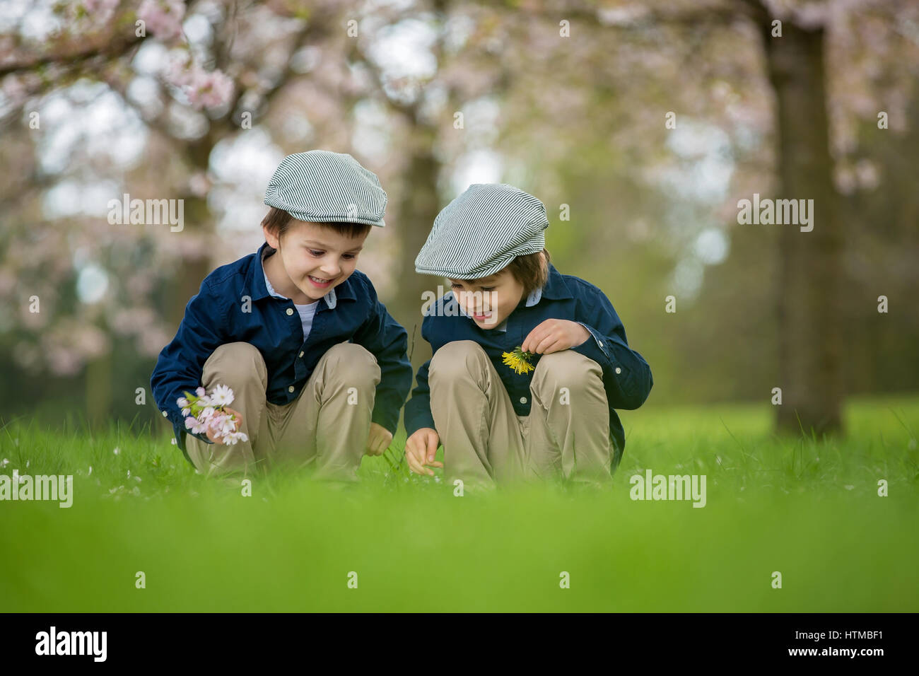 Two adorable boys, reading a book in a spring blooming park, daytime ...